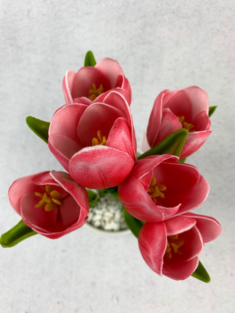 Valentine Ceramic Potted Tulip Display – CrazeAbout